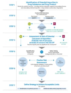 Mutagenic Impurity Risk Assessment in Development & Manufacturing ...