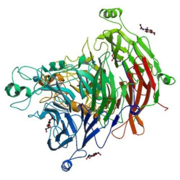 Complete Guide to Protein Identification and Characterization - Waters Blog