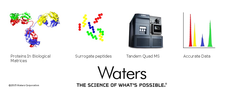 Insights on Protein Quantification with Surrogate Peptide Method ...
