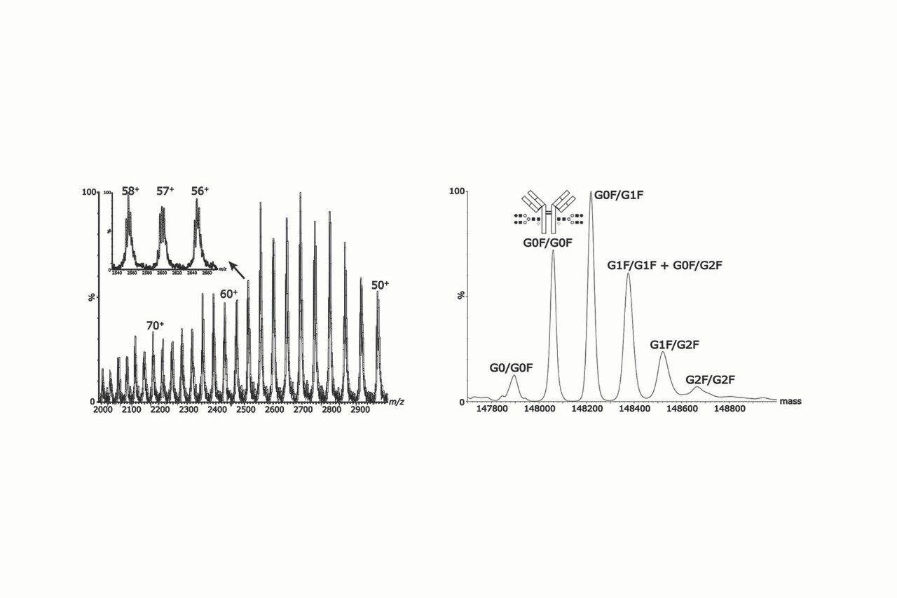 SQ Detektor 2 | Single-Quadrupol-Massenspektrometer für die LC | Waters