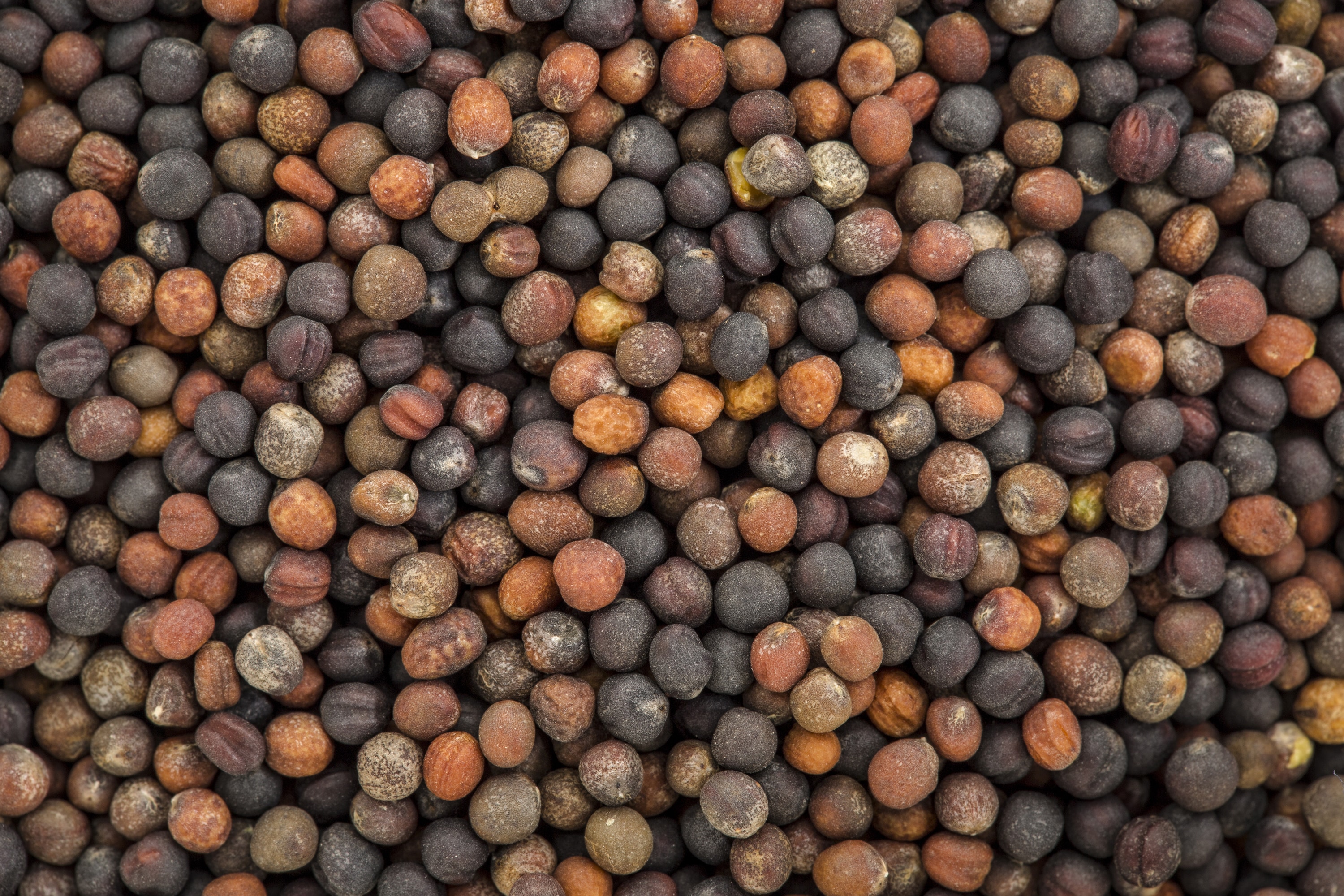 Mass Directed Purification of Glucoraphanin from Broccoli Seeds using ...