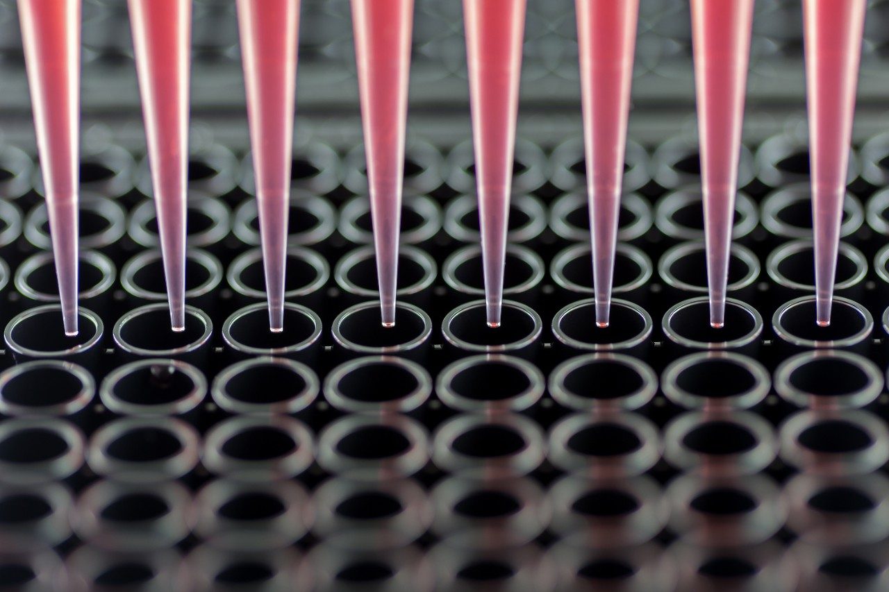Andrew+ Automated Mixed-Mode SPE Sorbent Selection Method Development ...