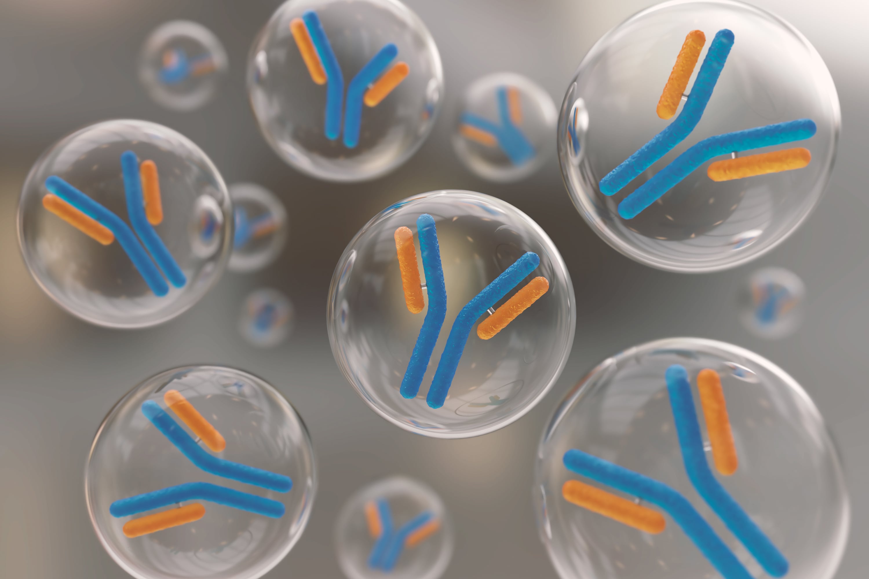 Quantitation of Monoclonal Antibodies Using Reversed-Phase Liquid ...