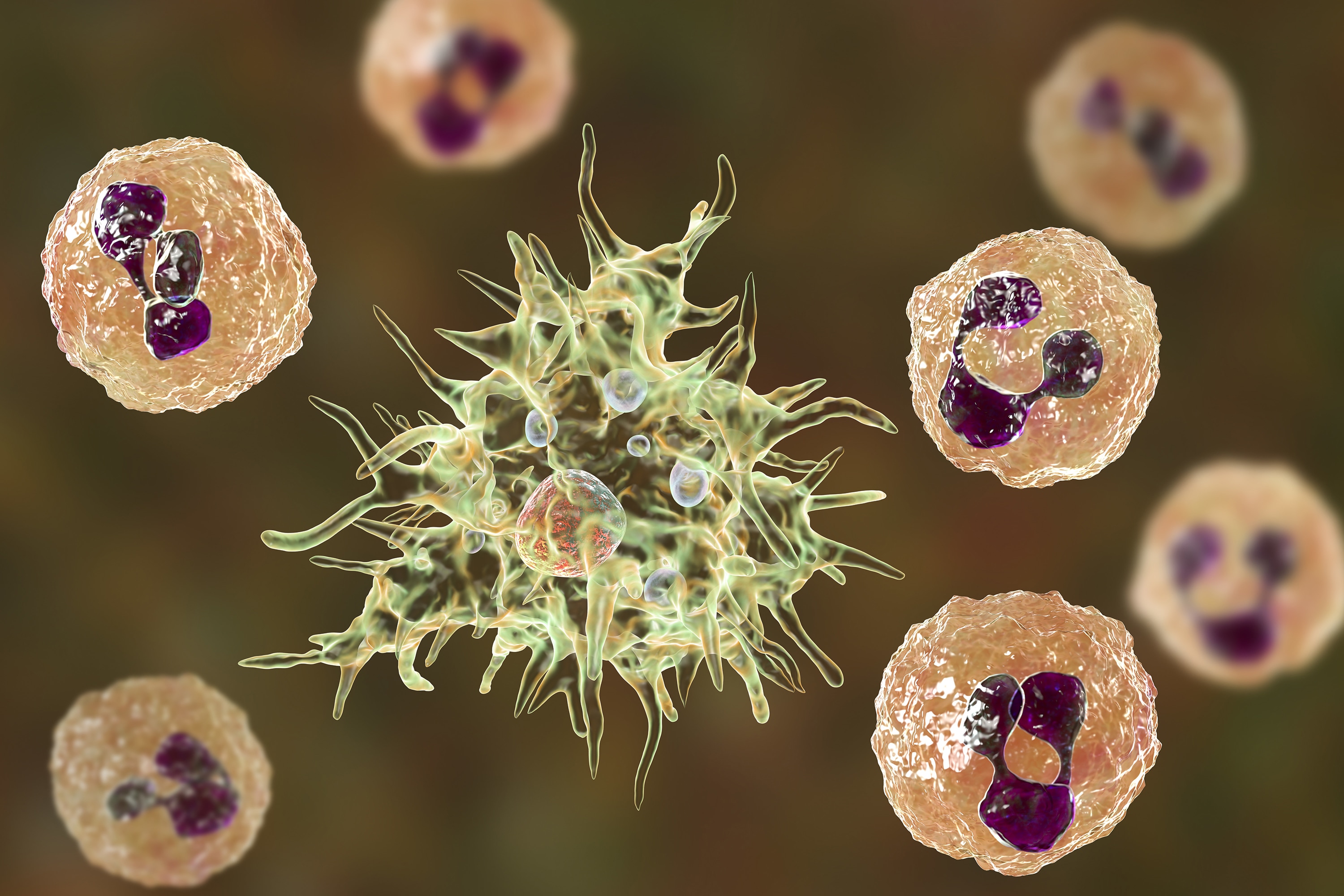 Development of a Quantitative UPLC-MS/MS Assay for the Simultaneous Quantification of ...