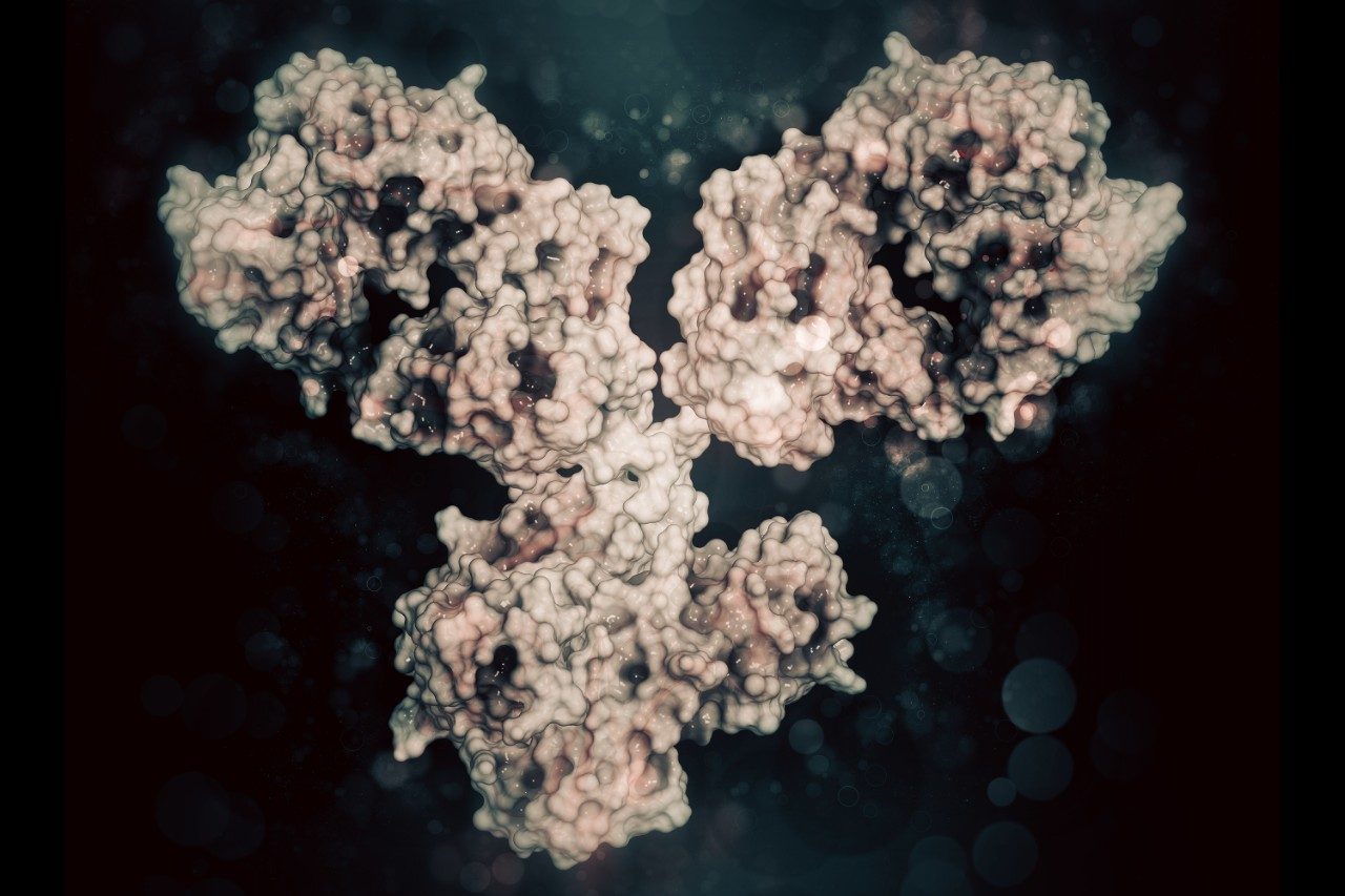 Mapping IgG Subunit Glycoforms Using HILIC and a Wide-Pore Amide ...