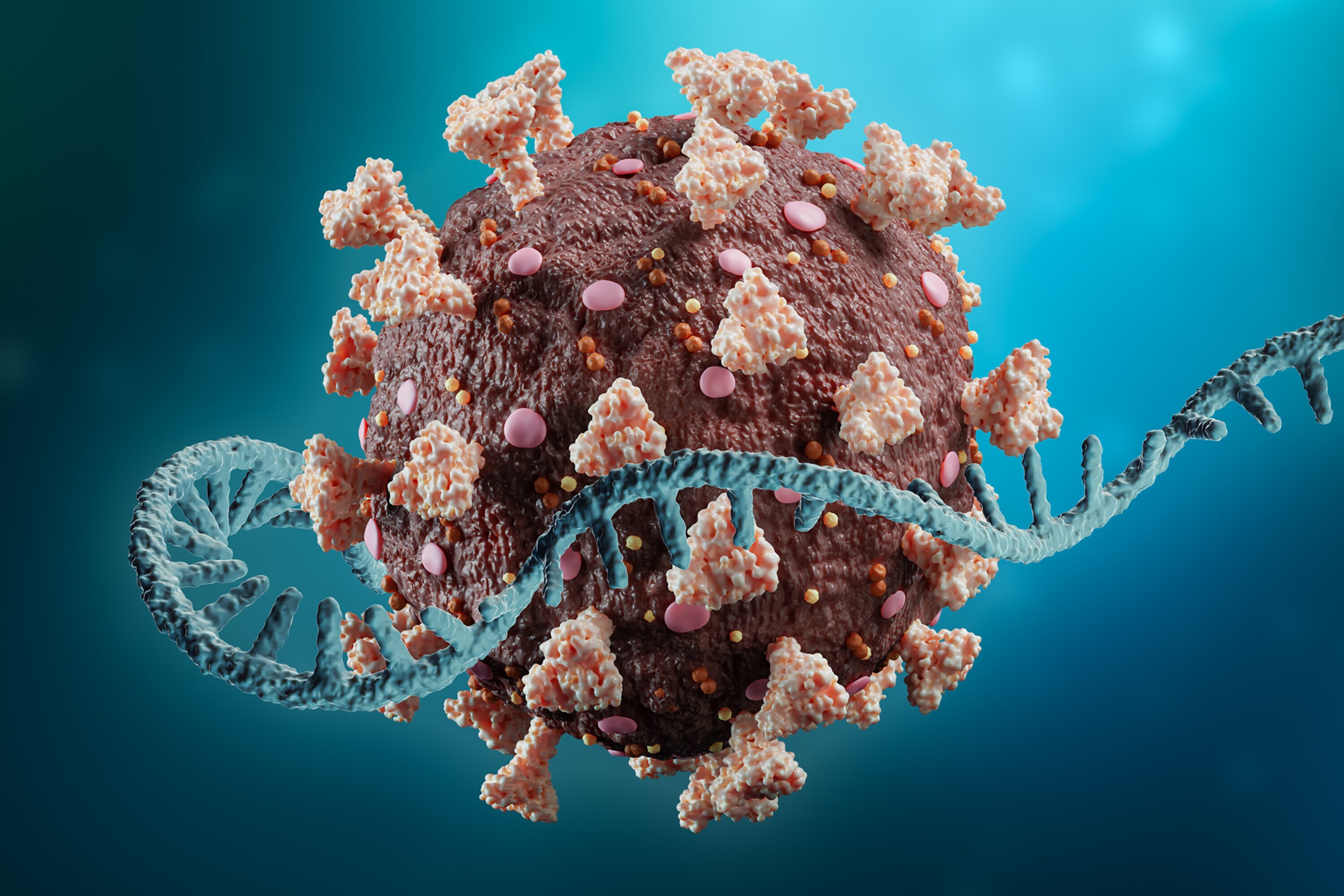 Rapid Analysis of Synthetic mRNA Cap Structure Using Ion-Pairing RPLC ...