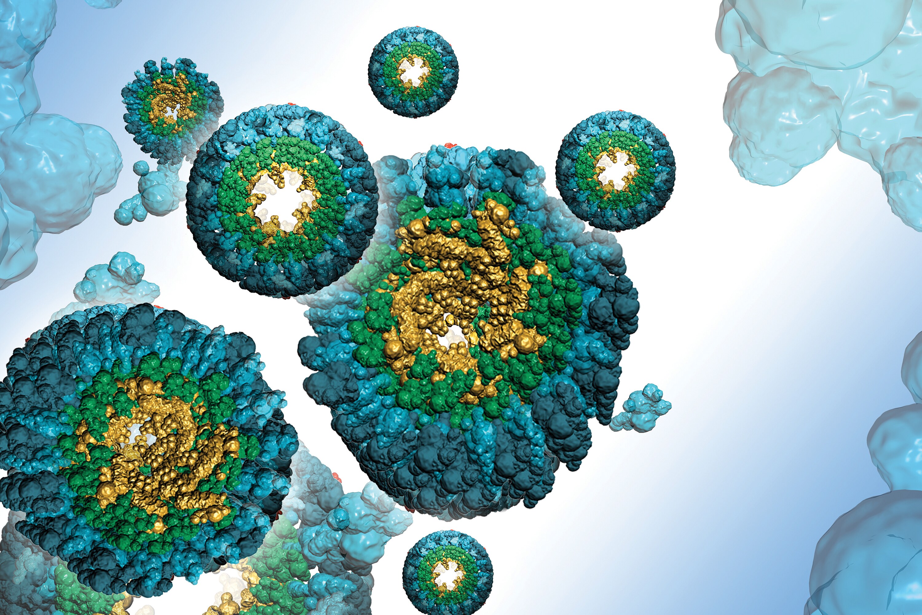 Automated and Standardized, Kit-Based Workflow for Protein ...