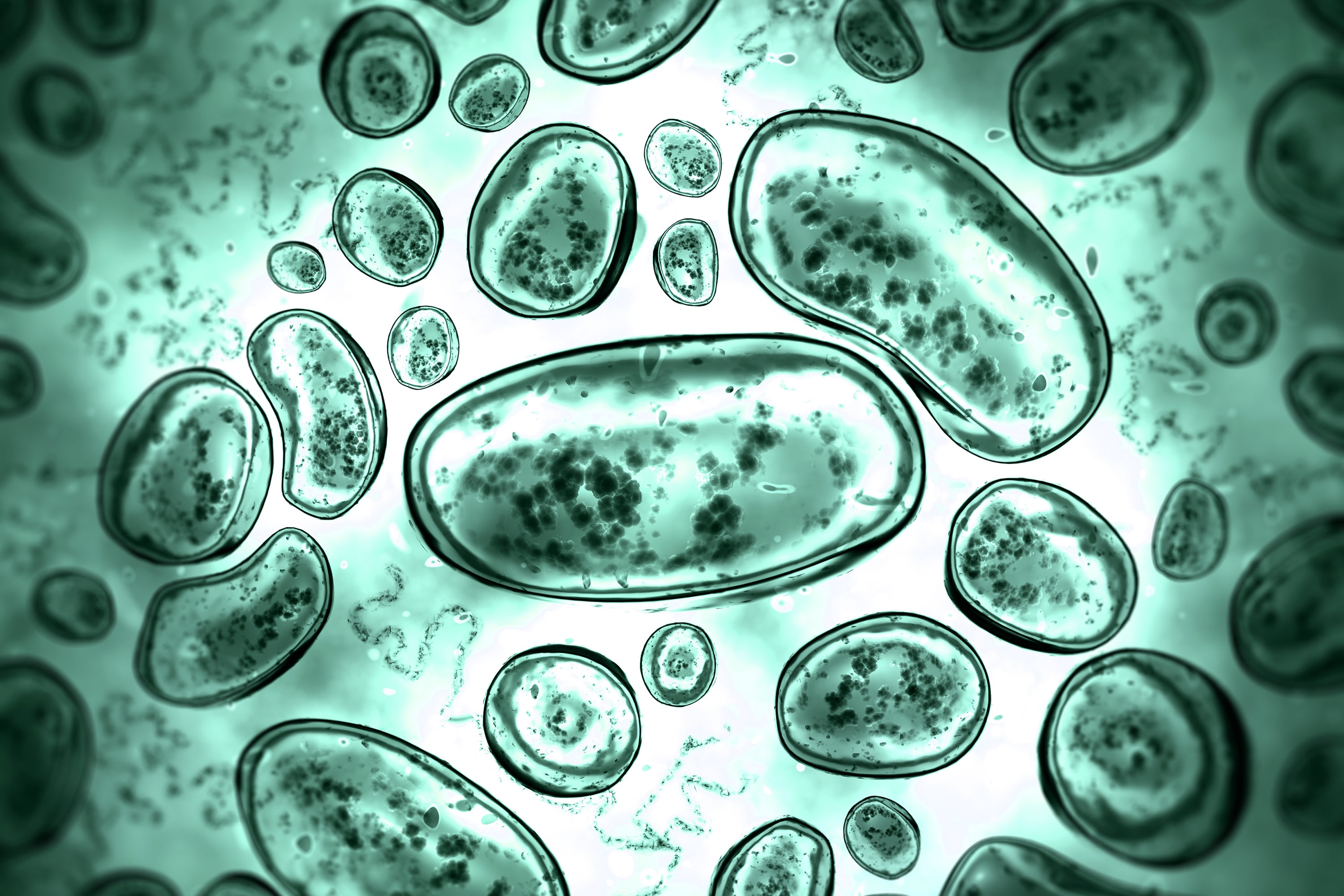 Microbial Databases for Rapid Screening and Dereplication of Microbial ...