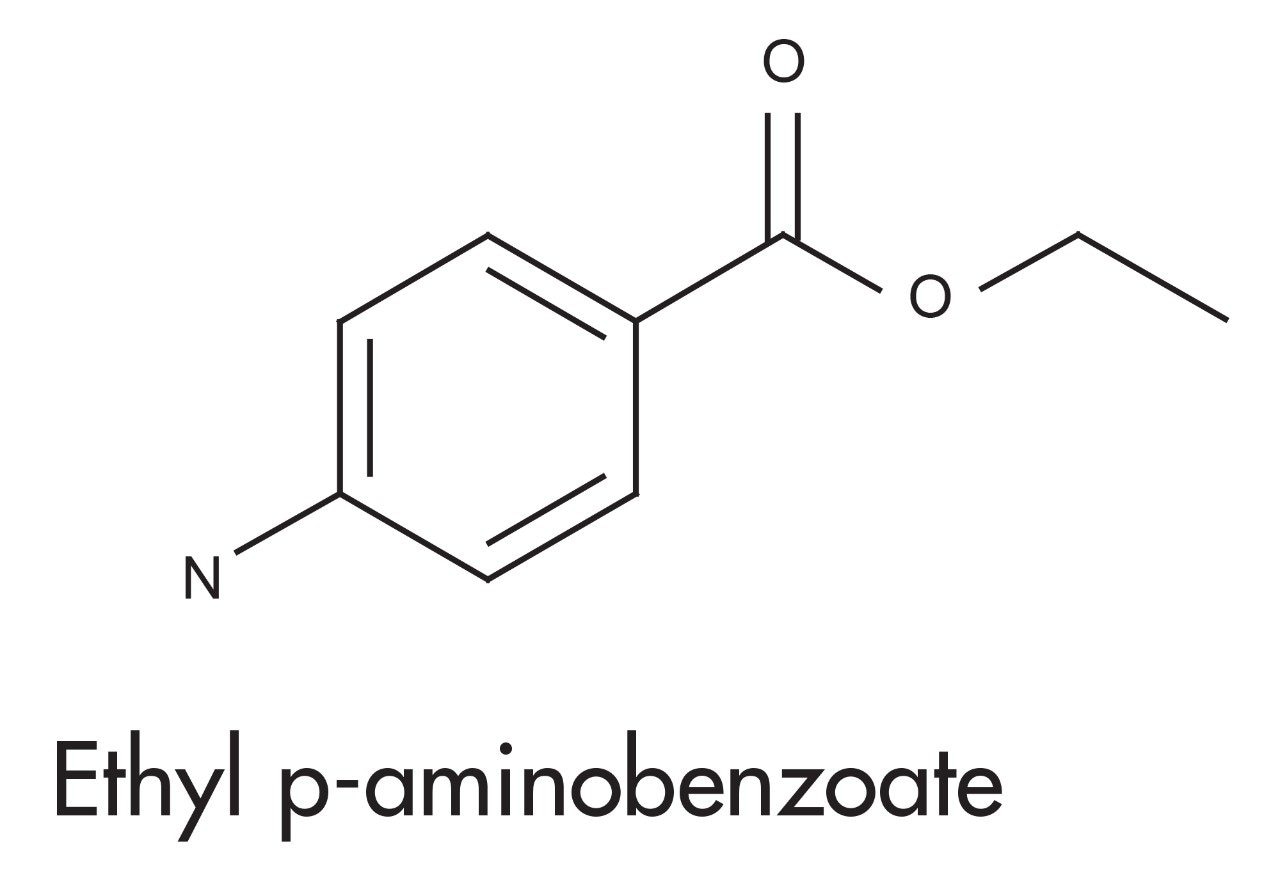 Ethyl 4 Aminobenzoate Structure