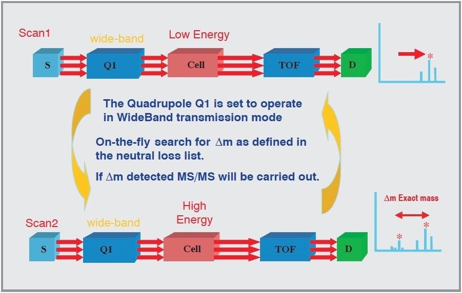 A Metabolomic Approach to Analyzing Plant Flavonoids Using Constant ...