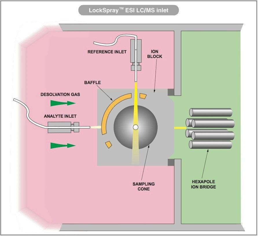 Exact Mass MS/MS of Ibuprofen Metabolites Using A Hybrid Quadrupole ...