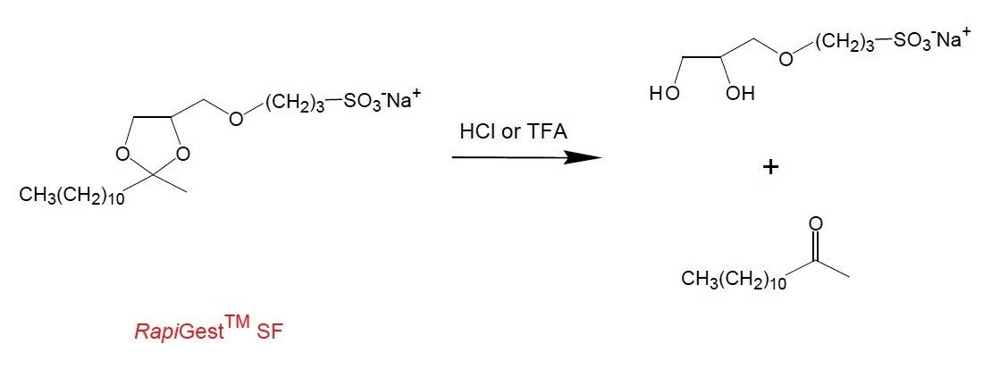RapiGest SF Accelerated Tryptic Digestion of Proteins | Waters