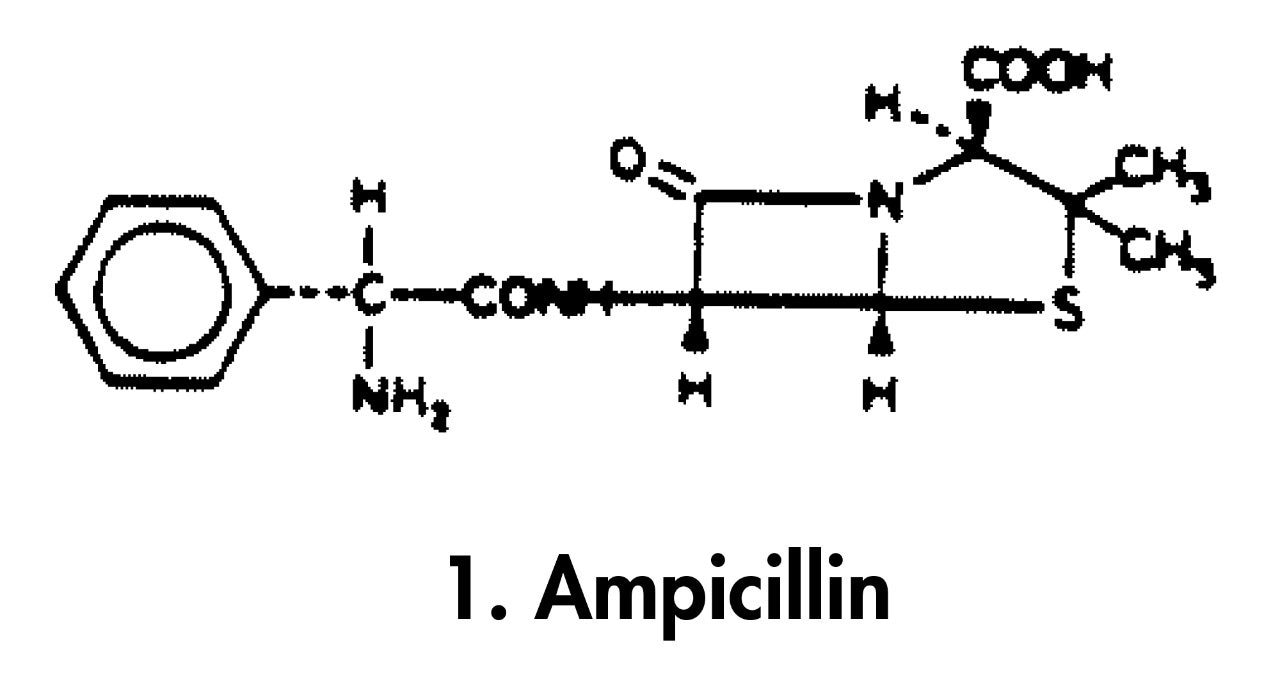Ampicillin | Waters