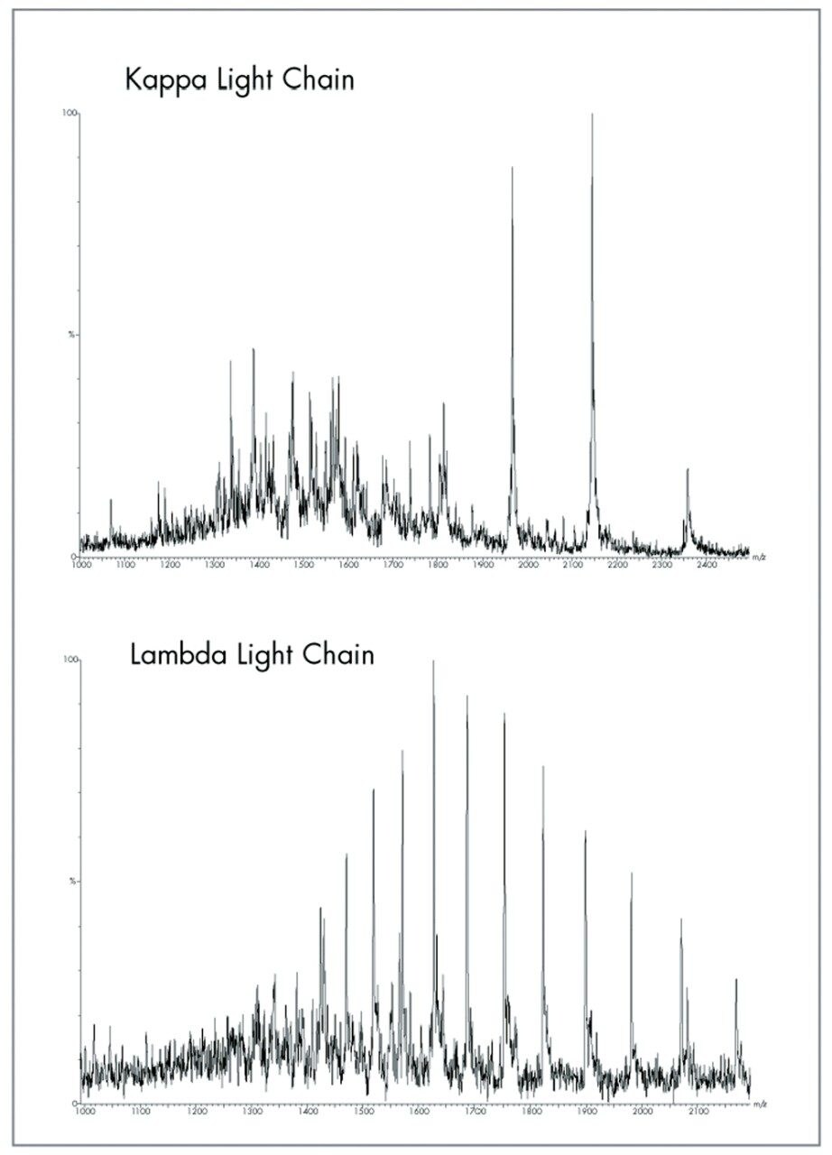 Structural Analysis of the Amyloidogenic Immunoglobulin Light Chains ...