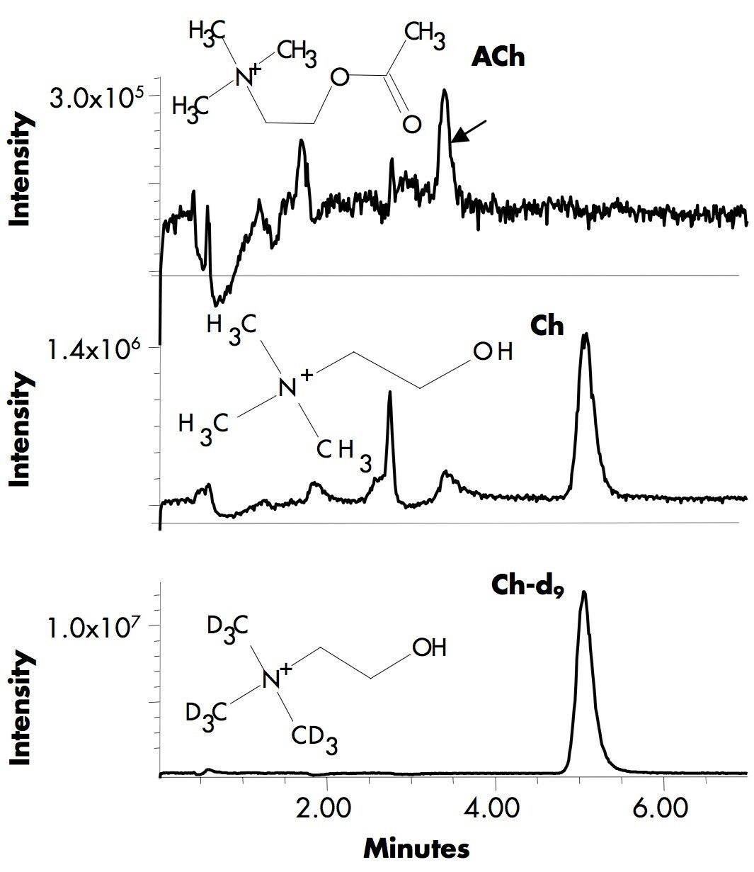 A Method for Choline and Acetylcholine Using Hydrophilic Interaction ...