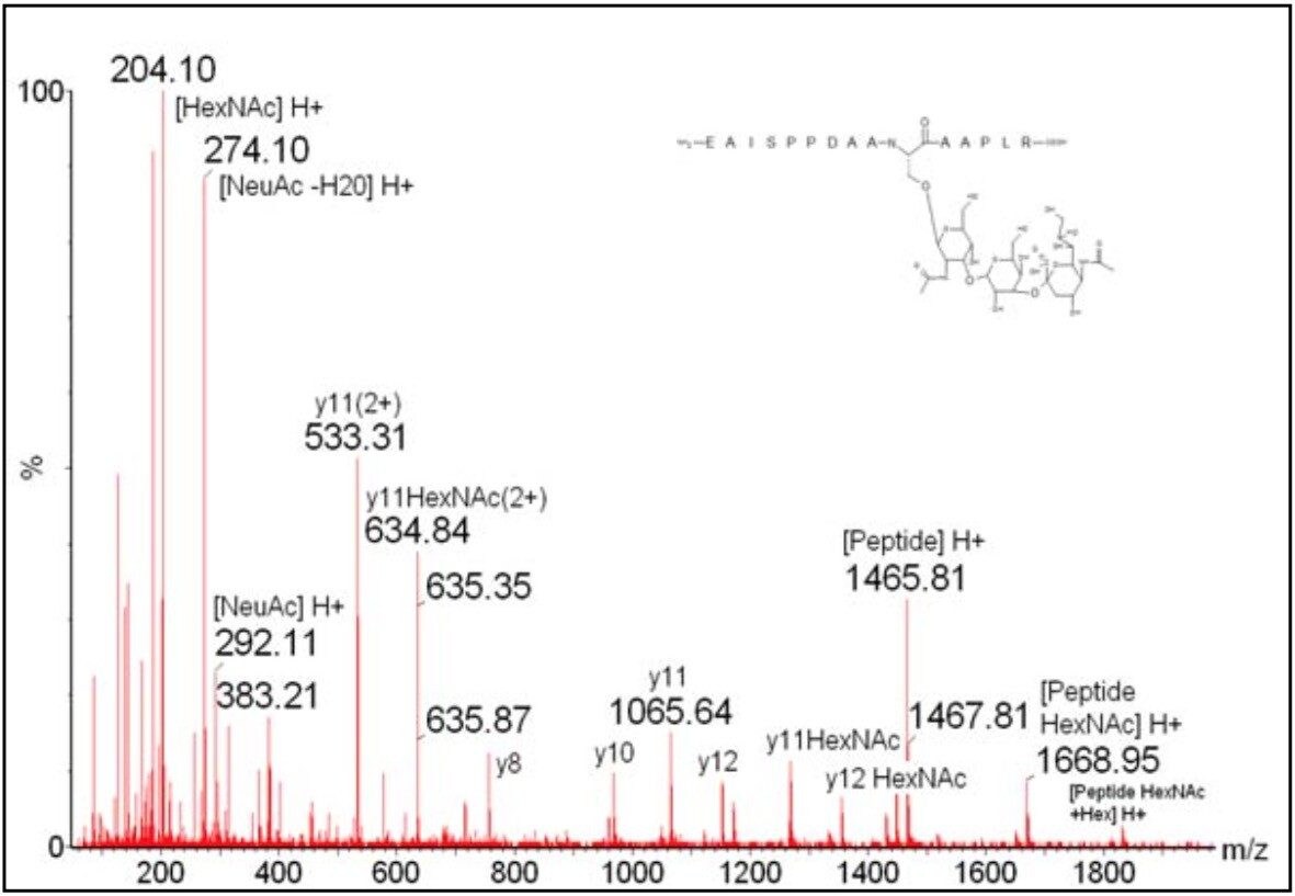 Coupling a Travelling Wave Collision Cell With an oa-Tof Analyzer for ...