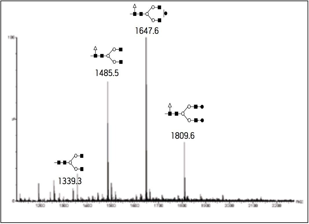 Characterization of an IgG1 Monoclonal Antibody and Related Sub ...