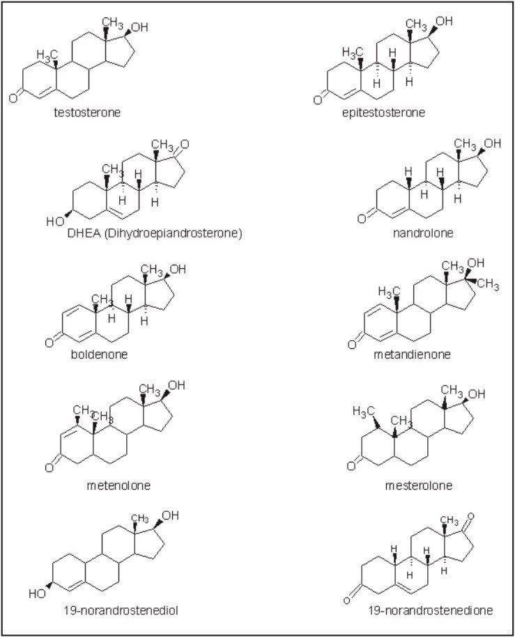 Anabolic Steroid Structure