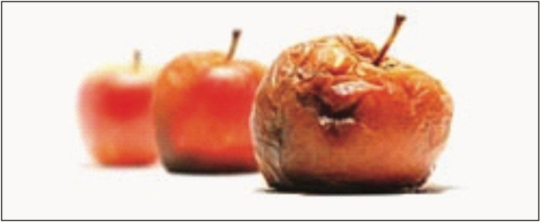 Rapid Analysis of Patulin Contamination in Apple Juice | Waters