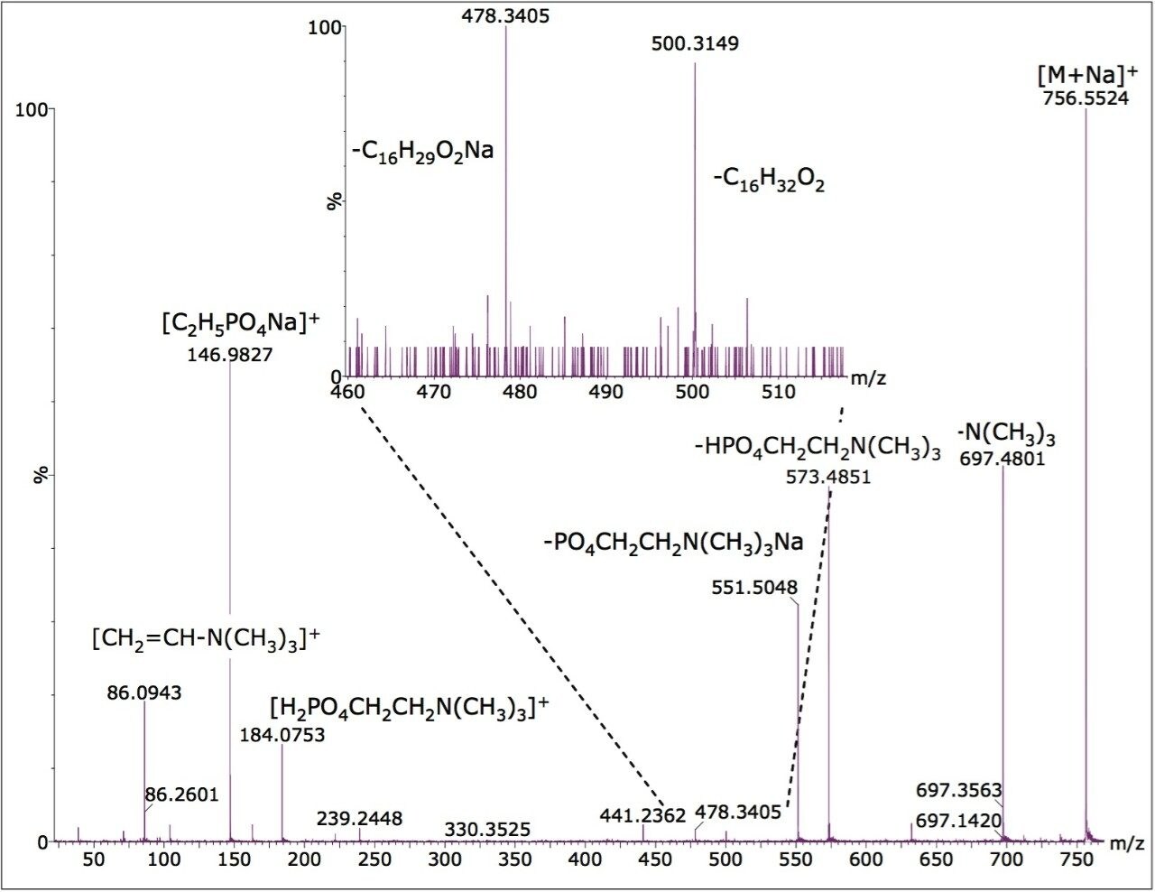 Direct Tissue Imaging and Characterization of Phospholipids Using MALDI ...