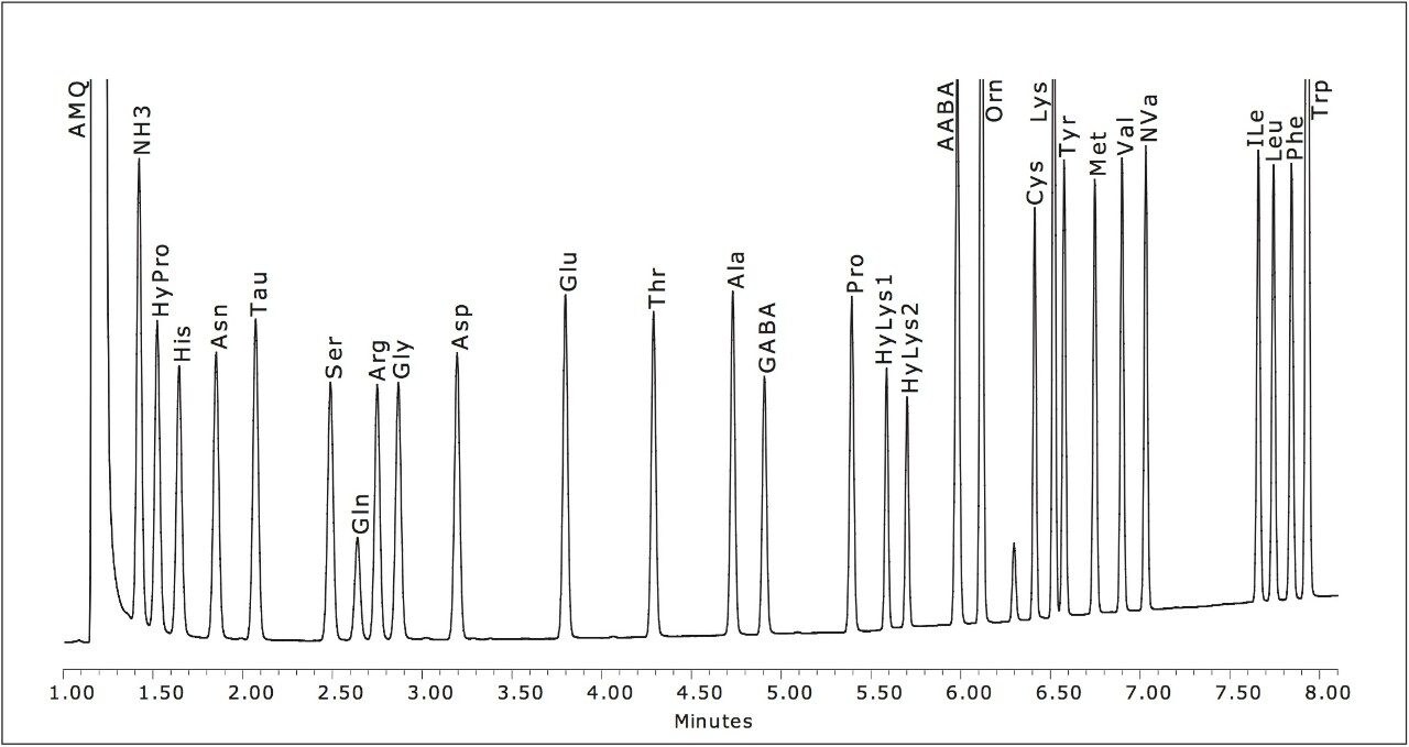 UPLC Amino Acid Analysis Solution | Waters