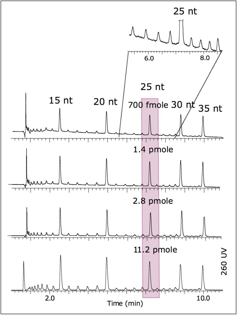 UPLC-UV-MS Analysis of Oligonucleotides | Waters