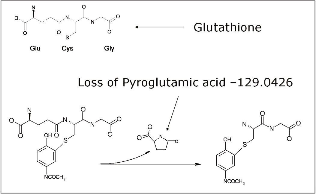 An Hts Methodology For Reactive Metabolite Detection And Identification