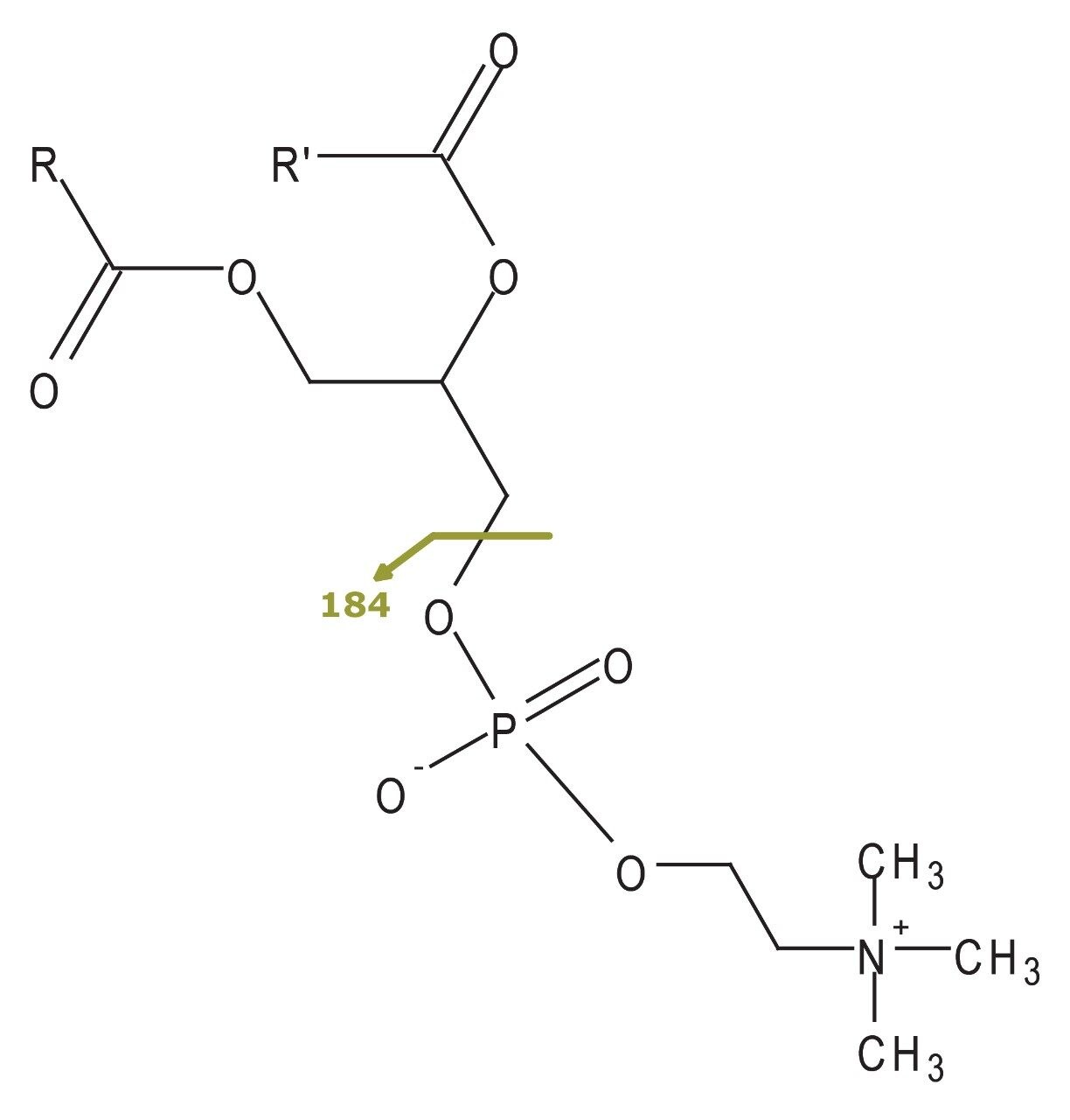A Novel Method for Monitoring Matrix Interferences in Biological ...
