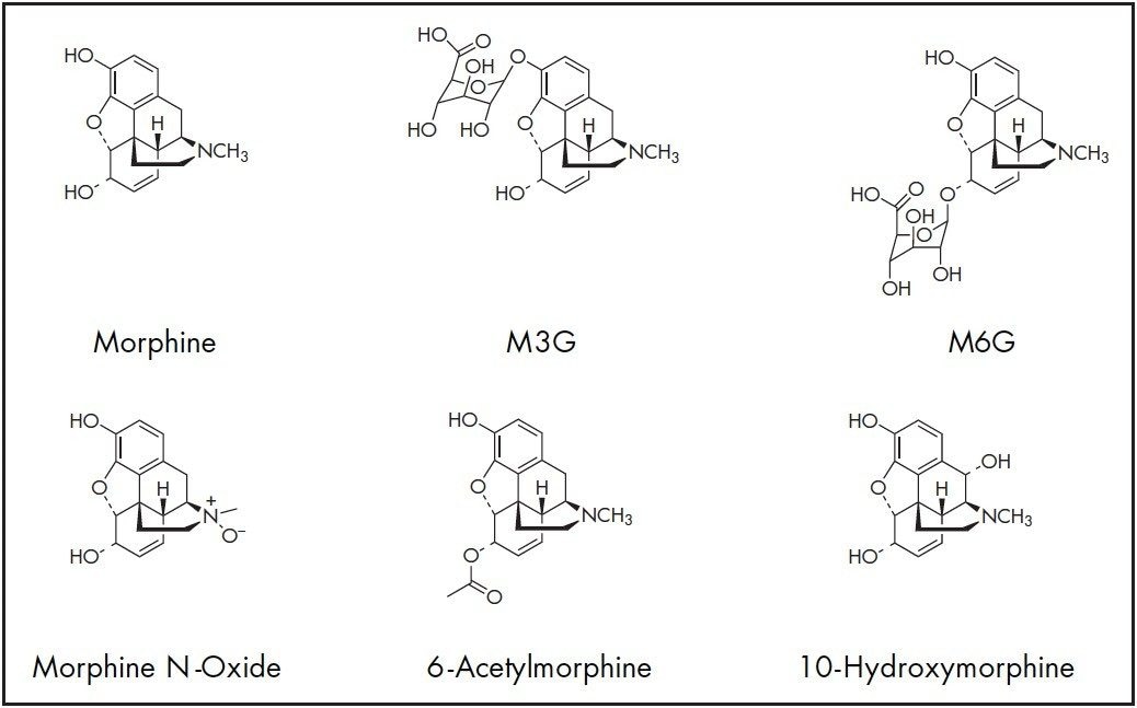 Simultaneous Extraction and Quantitation of Morphine and Its ...