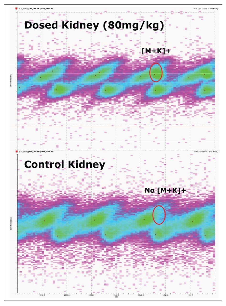 Tissue Imaging of Pharmaceuticals by Ion Mobility Mass Spectrometry ...