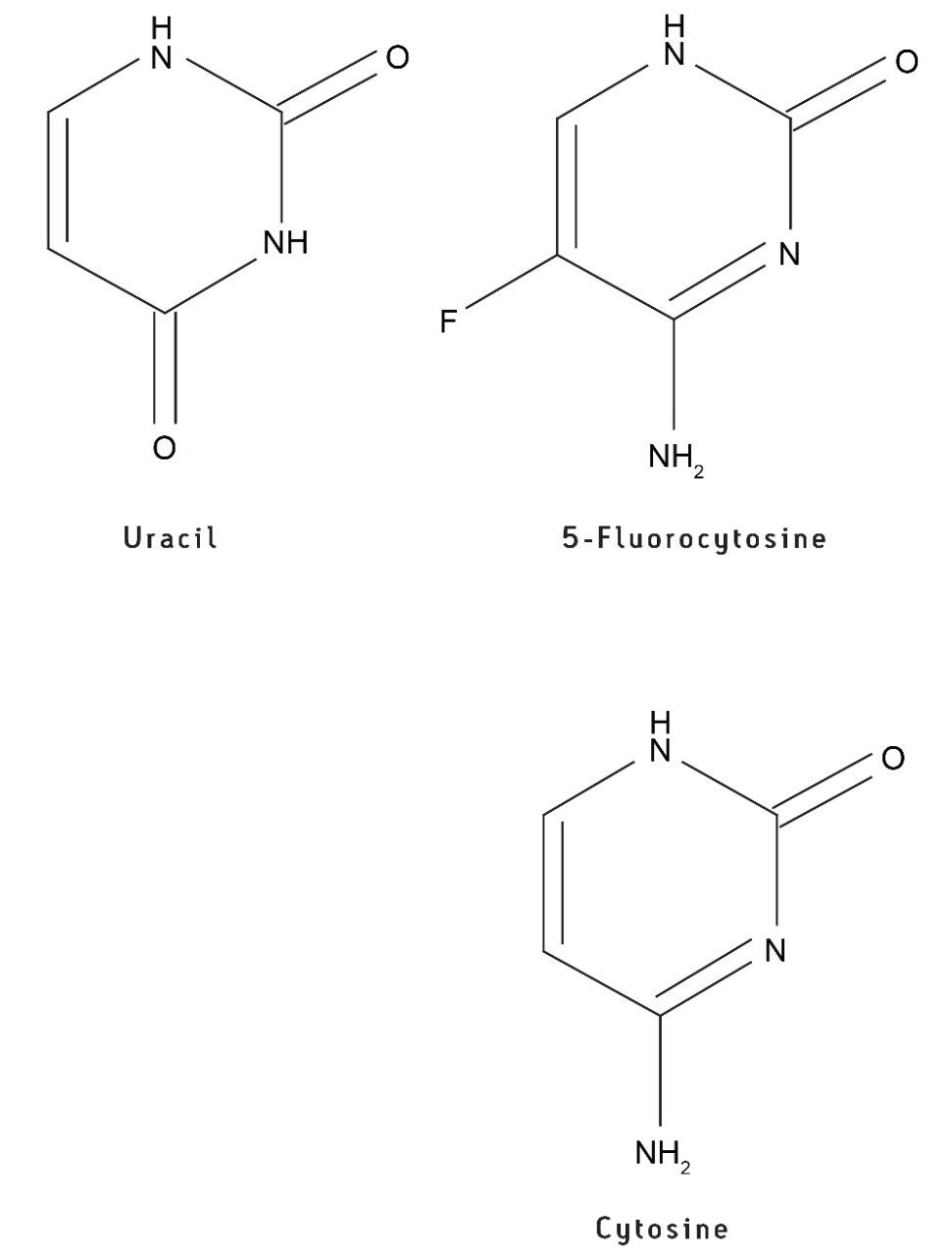 Chemical Stability Study of ACQUITY UPLC BEH Amide Columns | Waters