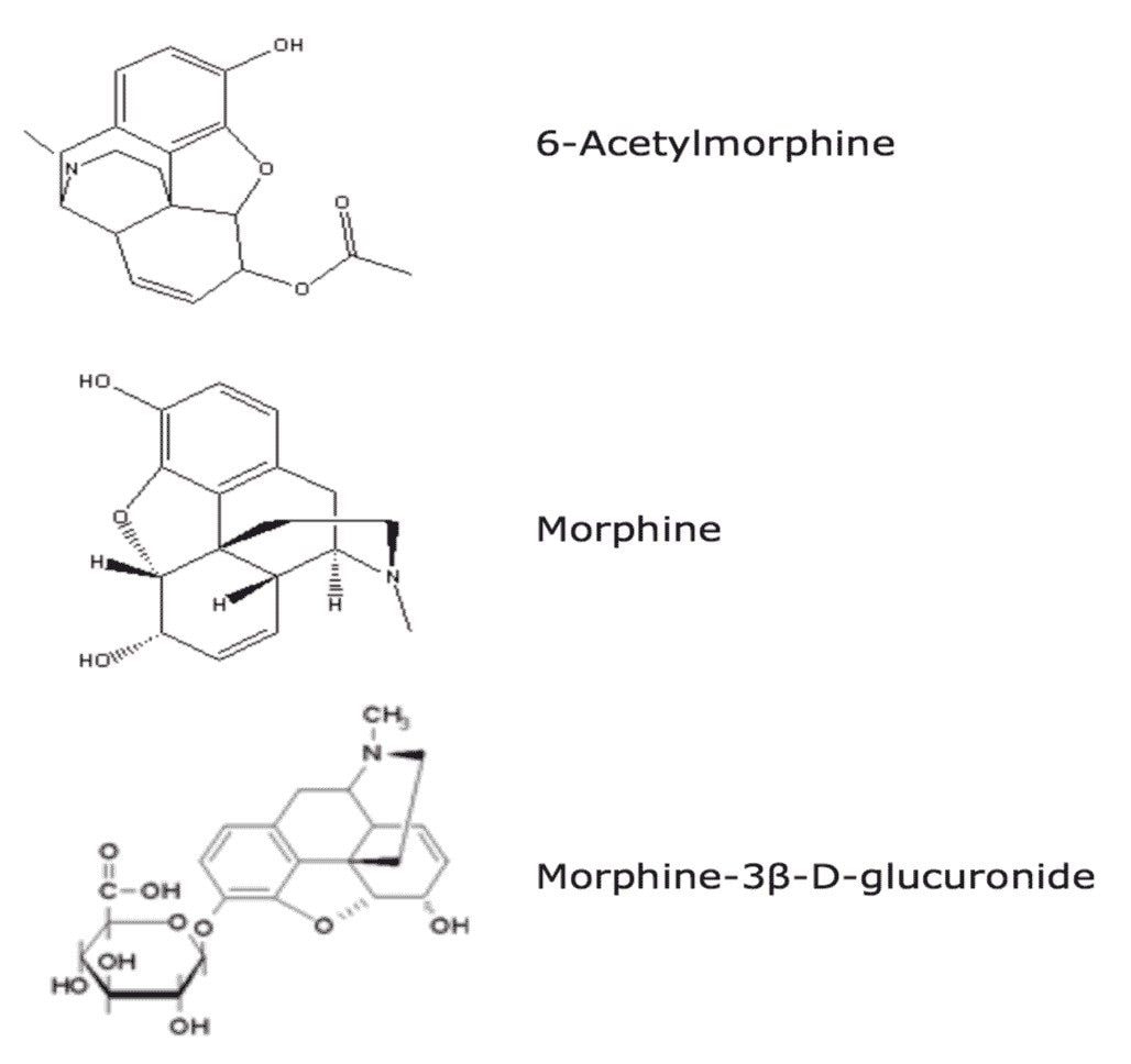 Gradient Separation of Morphine and Metabolites on ACQUITY UPLC BEH ...