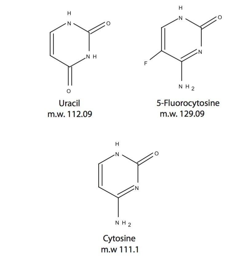 Gradient Chemical Stability Study of ACQUITY UPLC BEH HILIC | Waters Gradient Chemical Stability Study of ACQUITY UPLC BEH HILIC | Waters