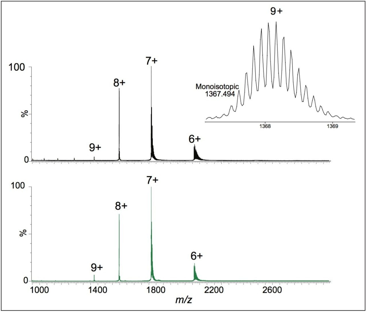 Improved Ion Mobility Separation of Protein Conformations in the Gas ...