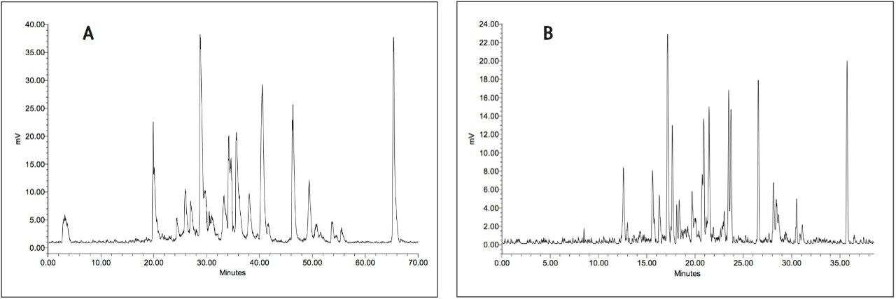 UPLC and Online Radioactivity Detection of Metabolites | Waters