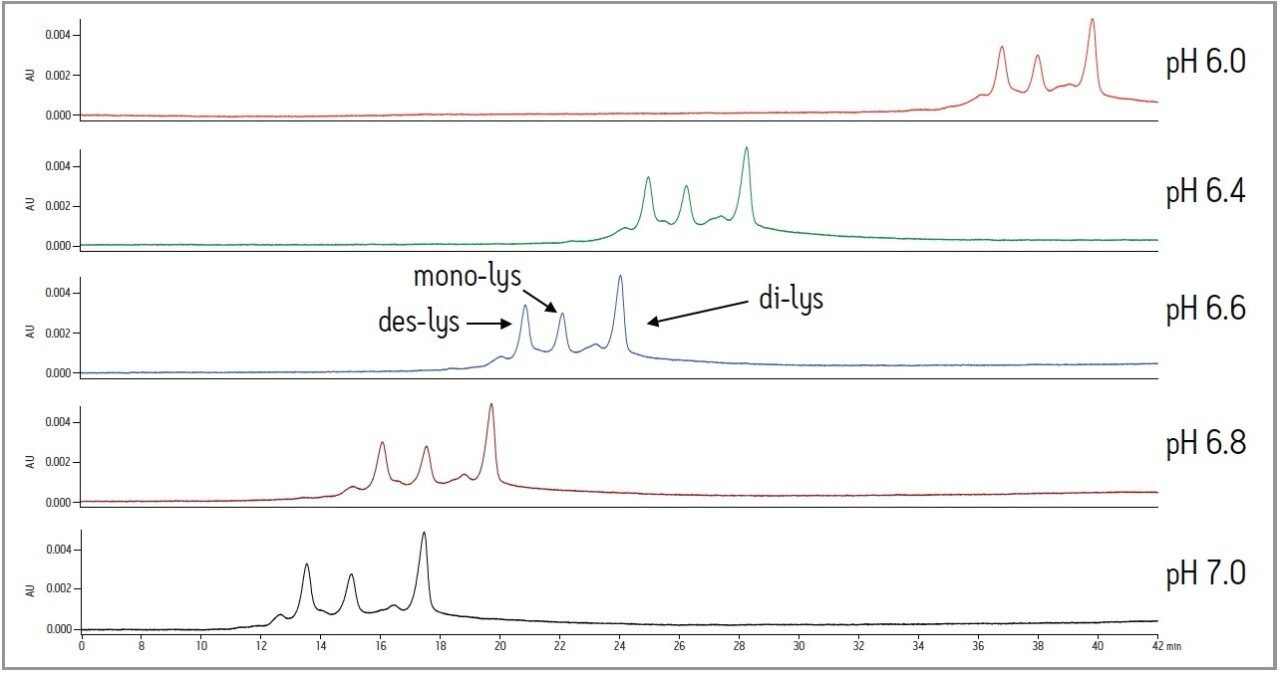IEX Method Development of a Monoclonal Antibody and Its Charge Variants ...