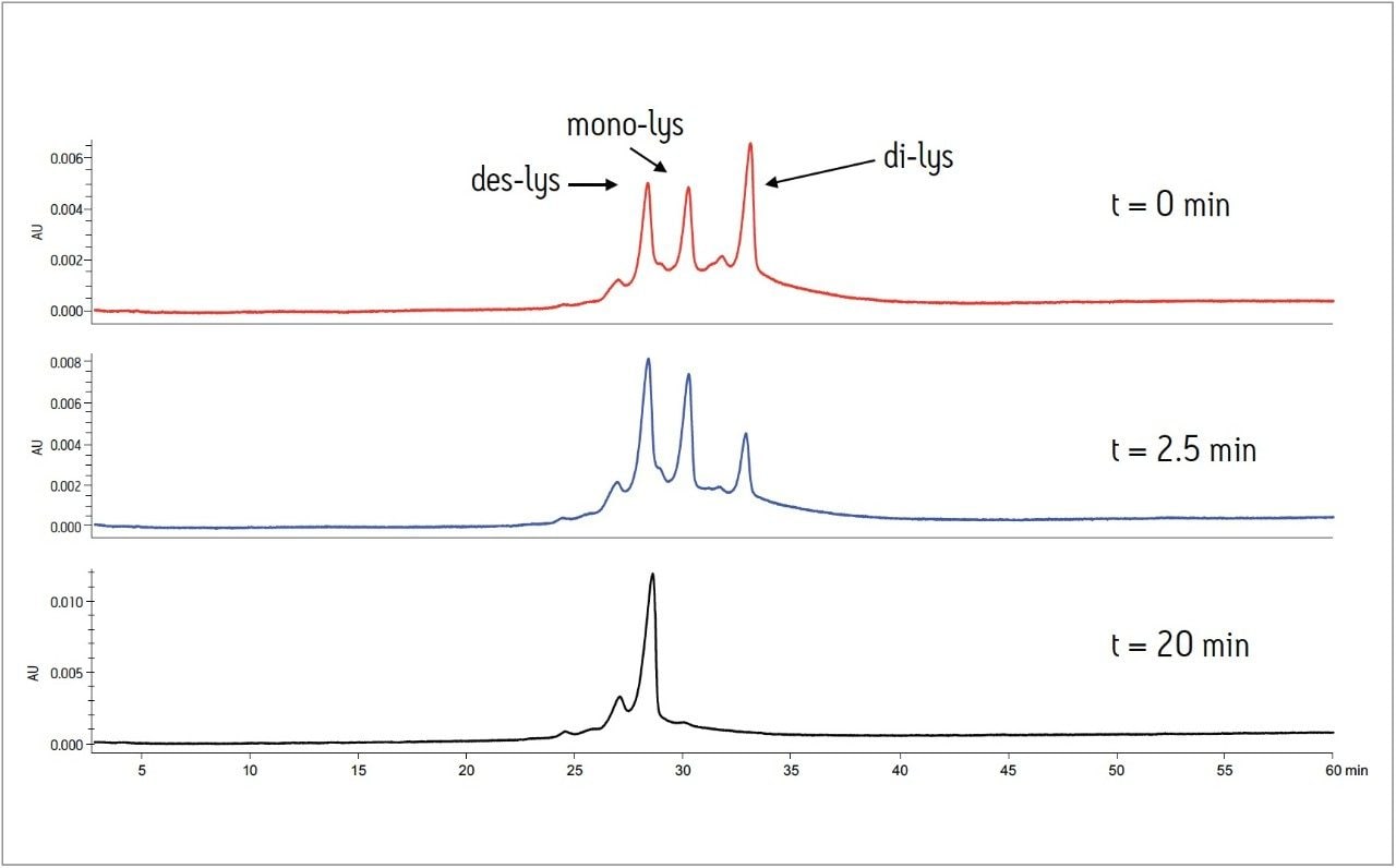 IEX Method Development of a Monoclonal Antibody and Its Charge Variants ...