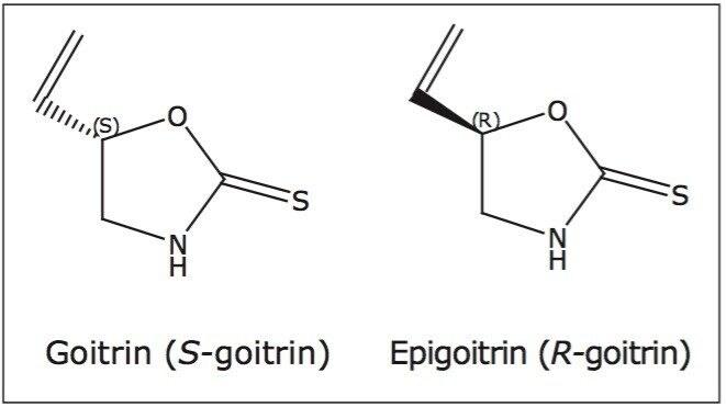 Quantitative Analyses of Goitrin/Epigoitrin in Isatis indigotica Fort ...