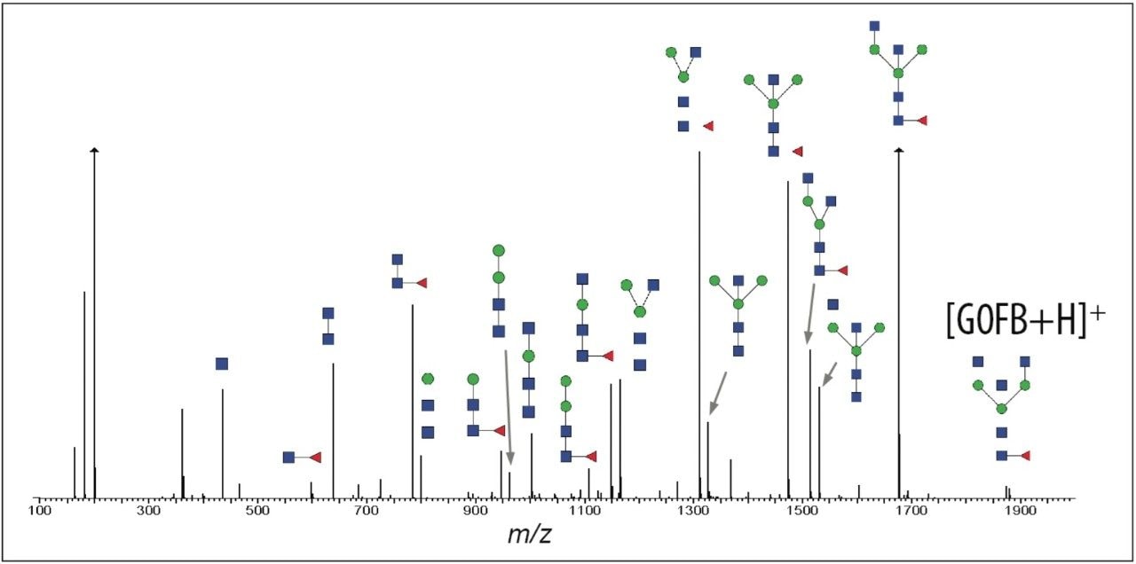 UPLC/FLR/QTof MS Analysis of Procainamide-Labeled N-Glycans | Waters