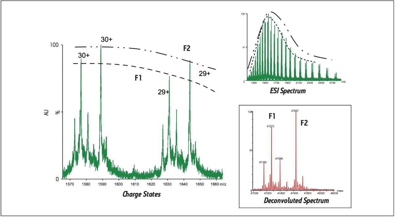 Analysis of Proteins by Size-Exclusion Chromatography Coupled with Mass ...