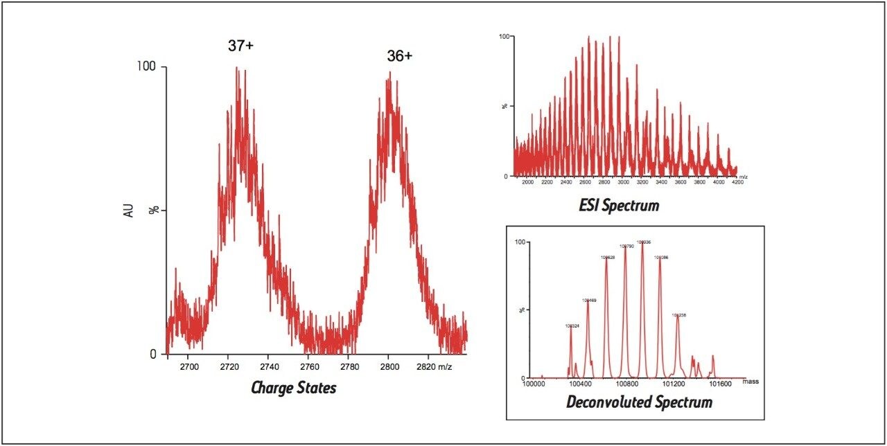 Analysis of Proteins by Size-Exclusion Chromatography Coupled with Mass ...