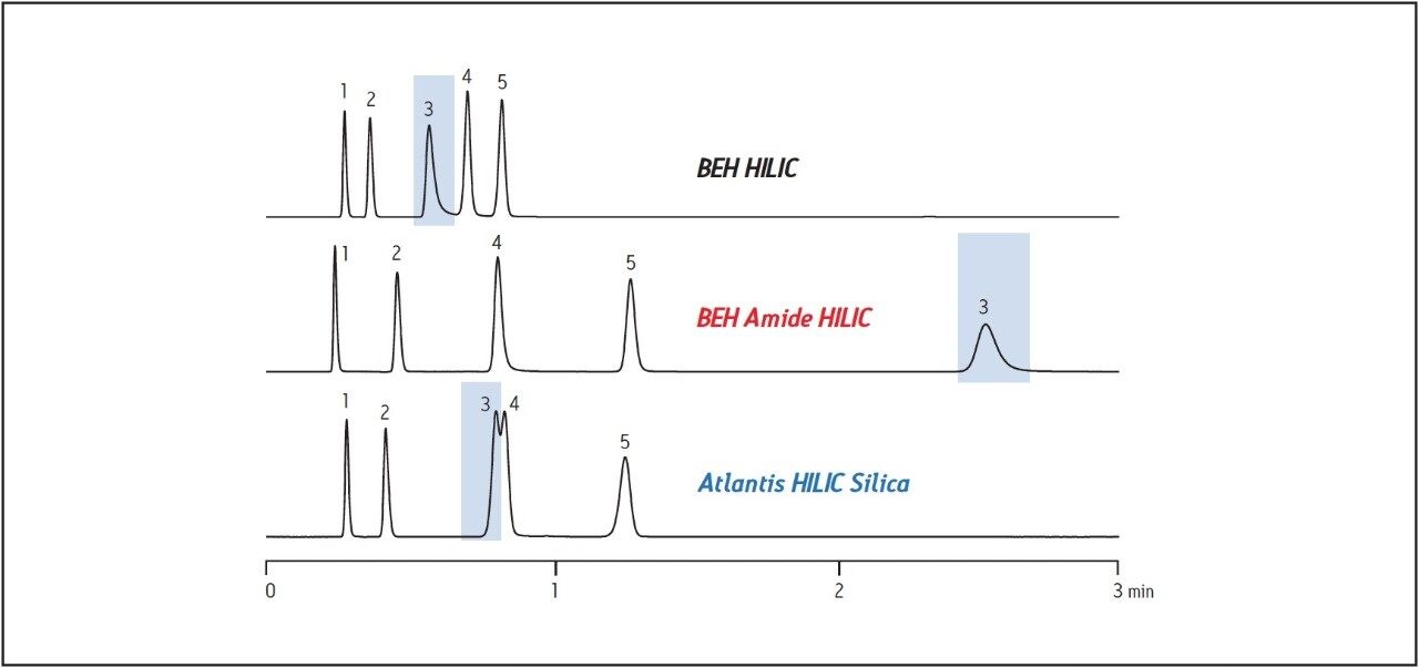 Preparative Scale Chromatography of a Hydrophilic Peptide Using Hydrophilic Interaction ...