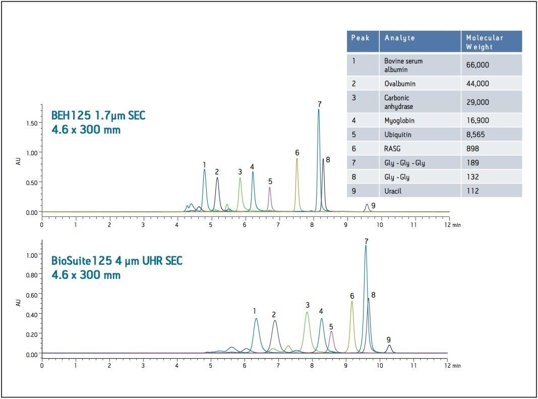 Advances in Size-Exclusion Chromatography for the Analysis of Small ...