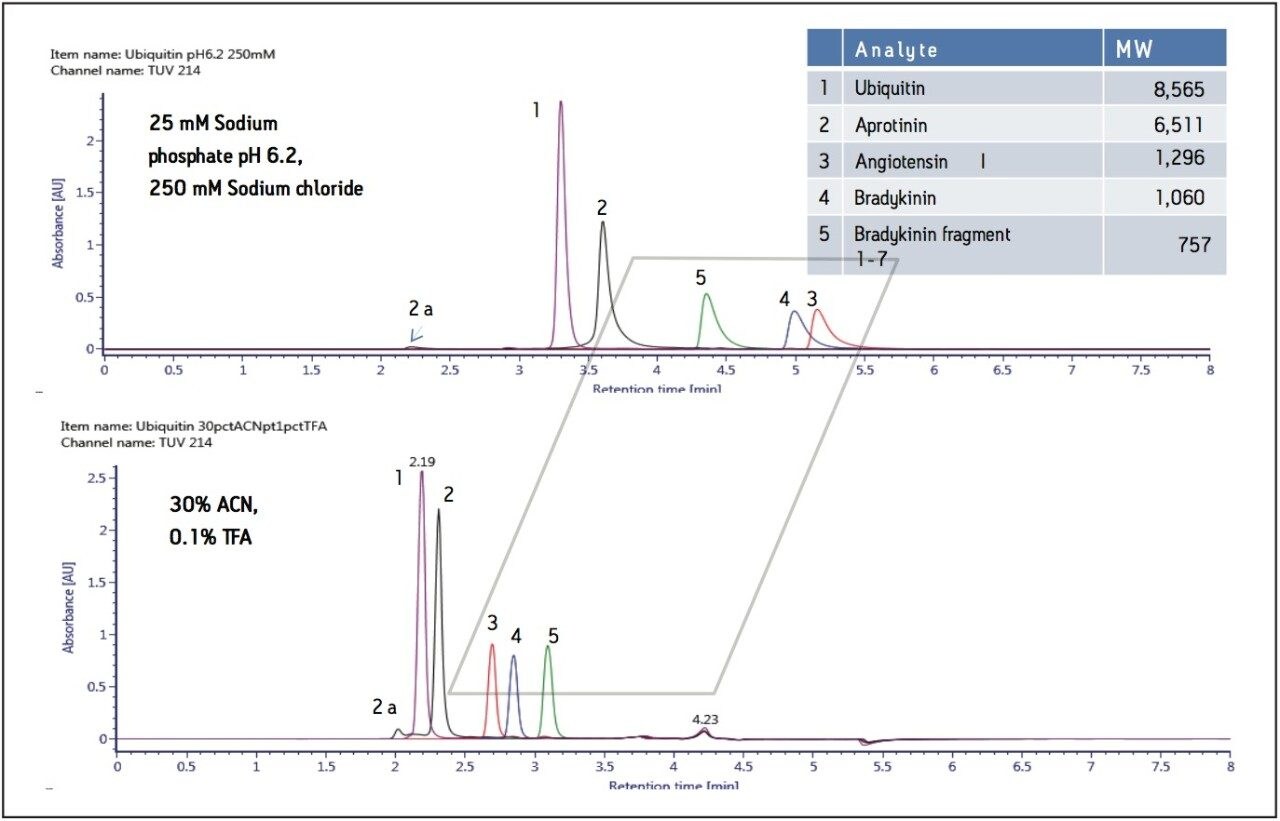 Advances in Size-Exclusion Chromatography for the Analysis of Small ...