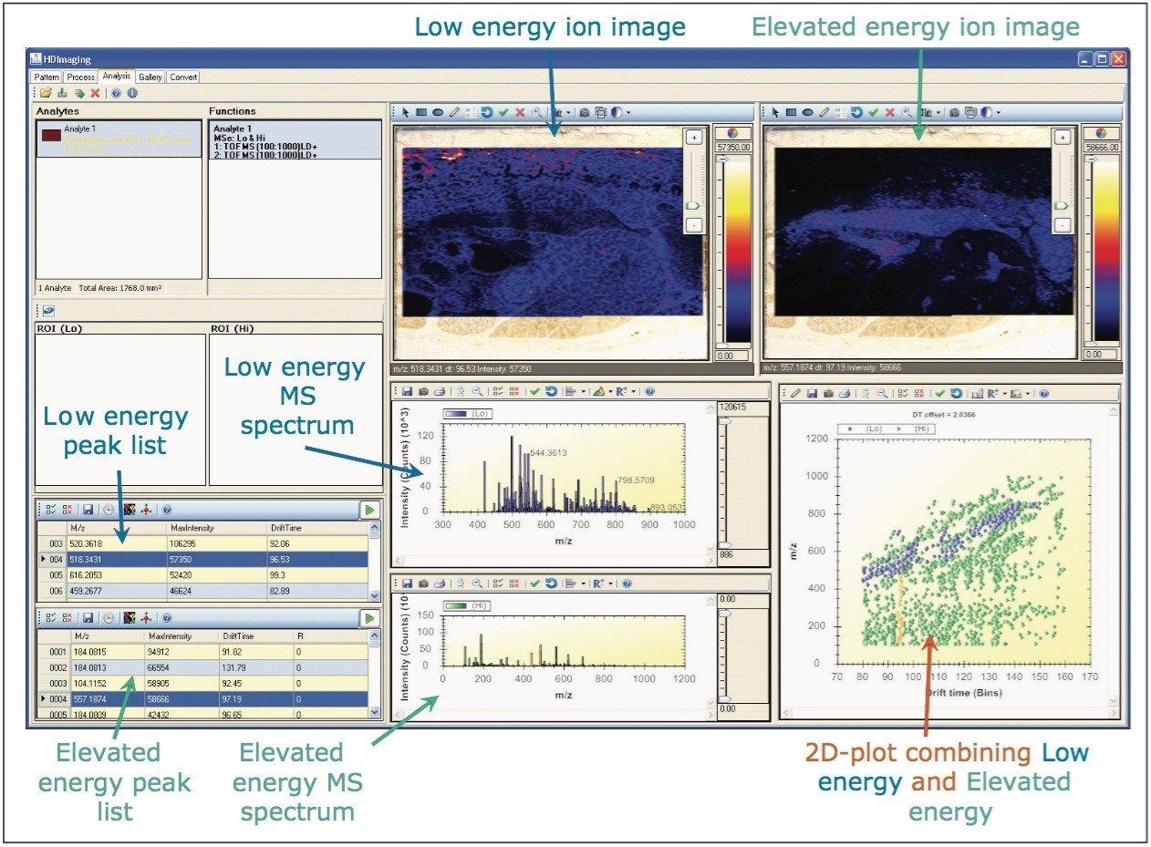 Data Independent MALDI Imaging HDMSE for Visualization and ...