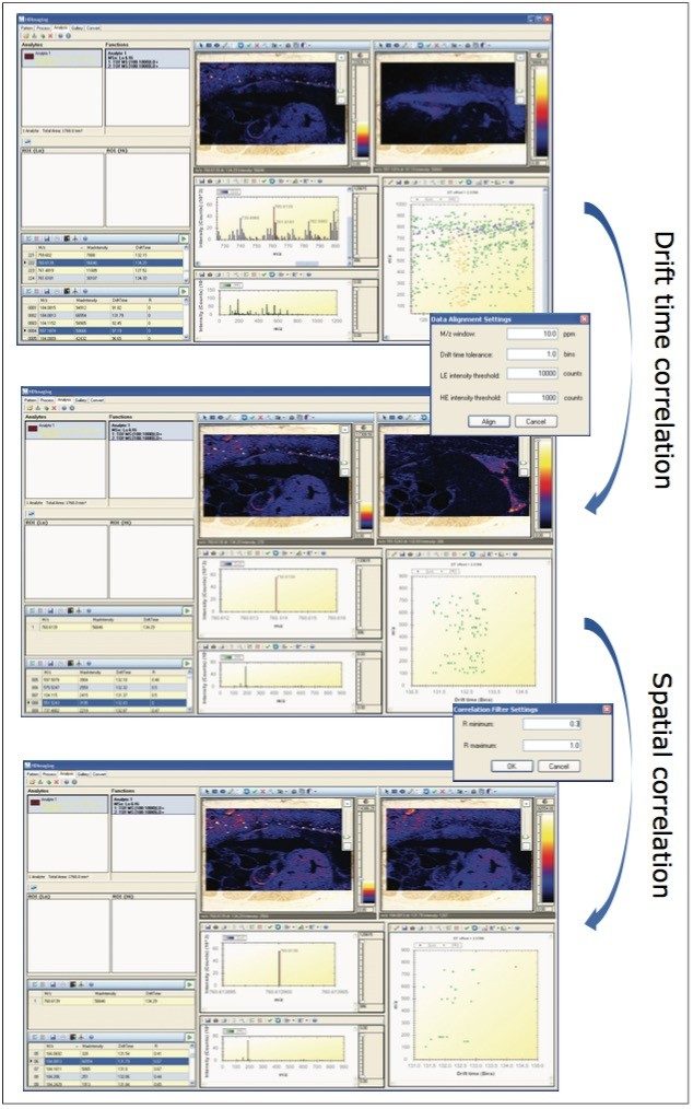 Data Independent MALDI Imaging HDMSE for Visualization and ...