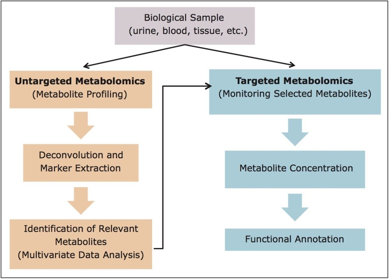 Targeted Metabolomics Using the UPLC/MS-based AbsoluteIDQ p180 Kit | Waters