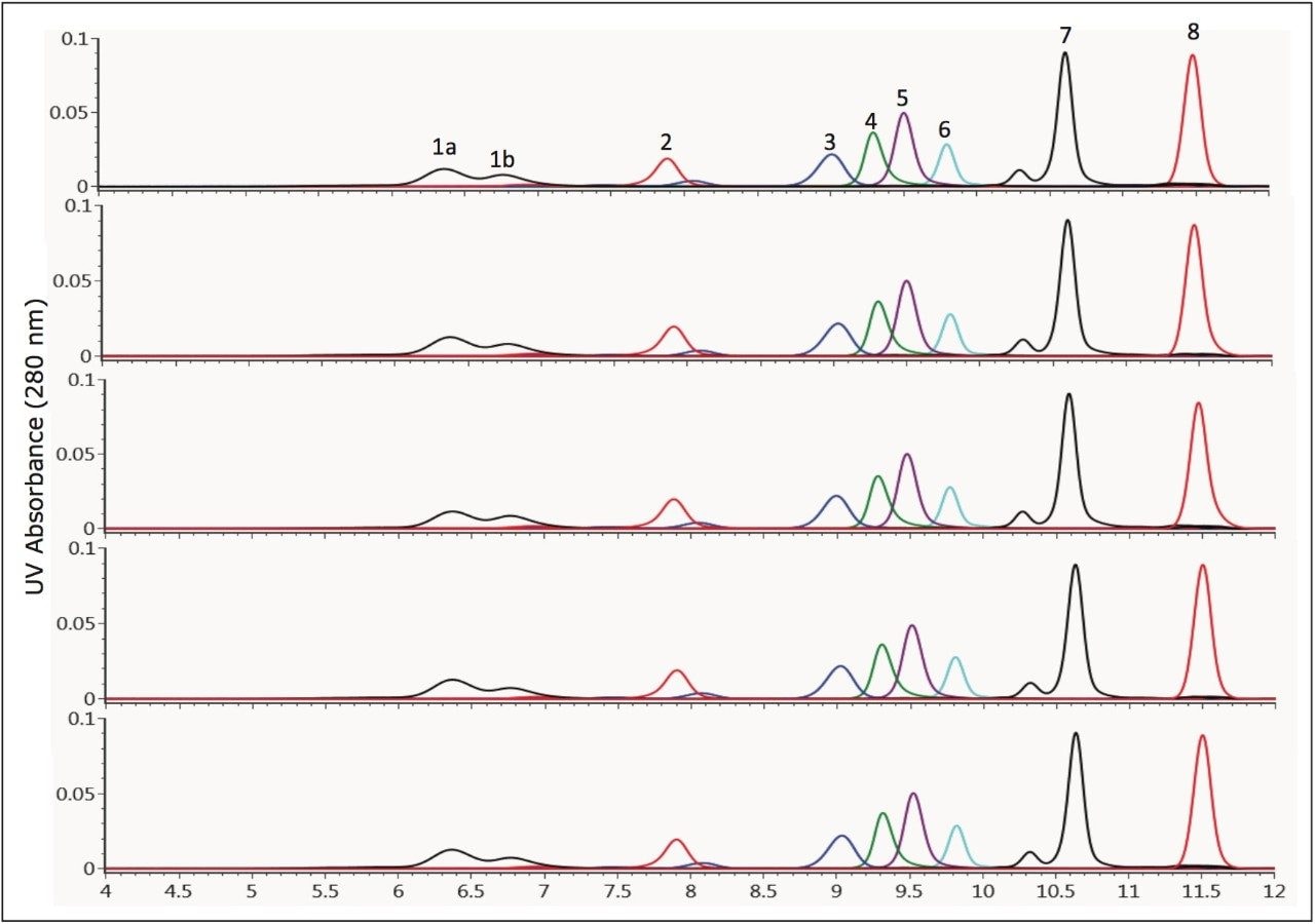 Advances in Size Exclusion Chromatography for the Analysis of ...