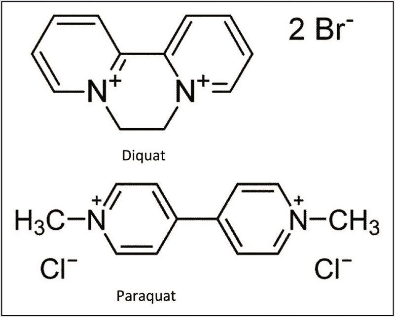 Direct Quantification of Diquat and Paraquat in Drinking Water Samples ...