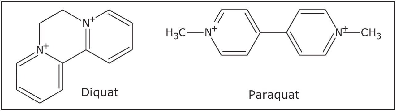 UPLC-MS/MS Determination of Paraquat and Diquat in Potato and Wheat ...